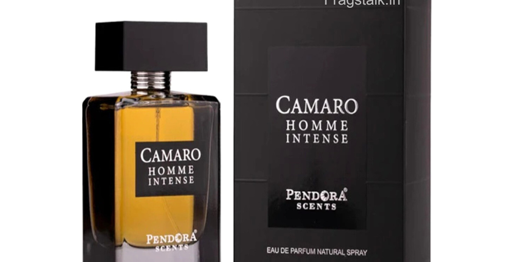 Pendora Scents Camaro Homme Intense 100ML EDP - Fragstalk